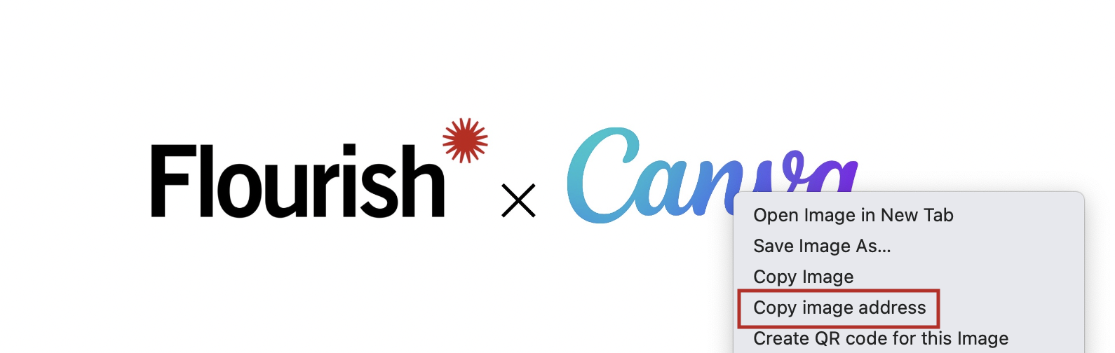 How to add images to your visualization – Flourish